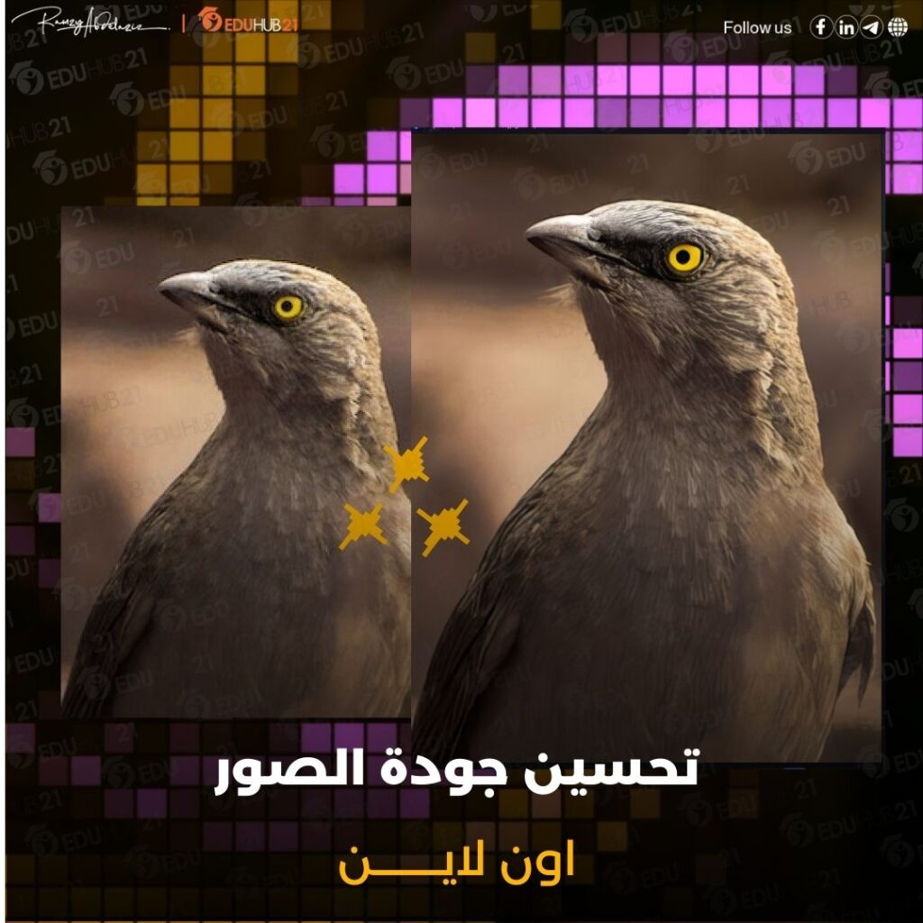تحسين جودة الصور اون لاين إلى 4K بـ 9 أدوات مختلفة Eduhub21